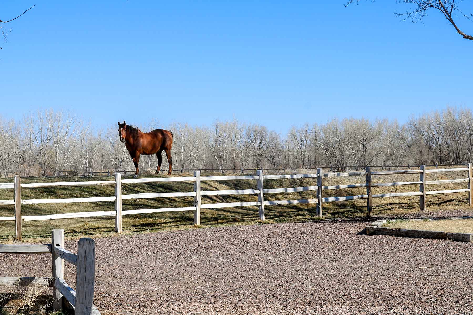 Double K Ranch - Sold - Colorado - Hall and Hall