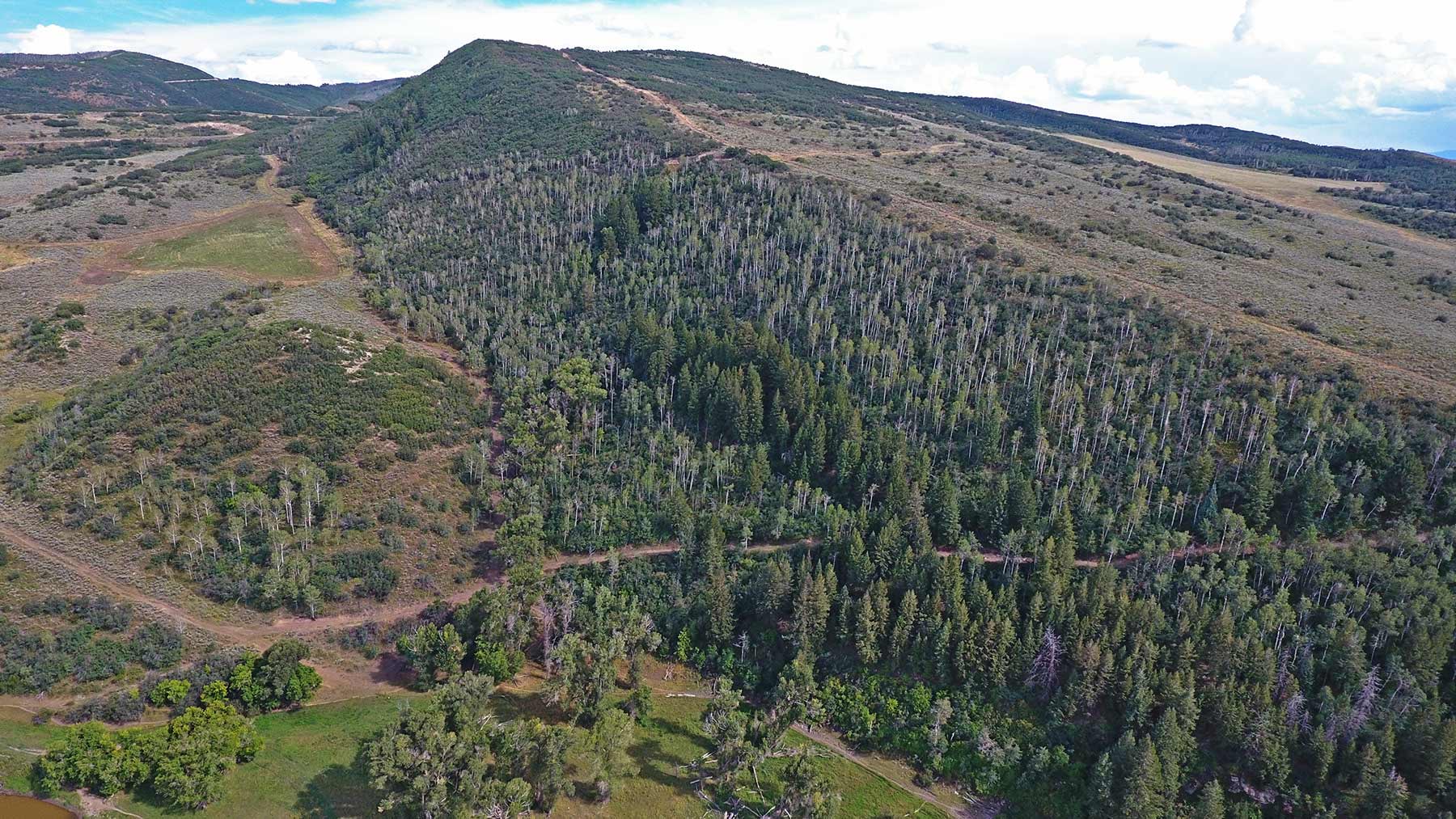 Ghost Ranch - Sold - Colorado - Hall and Hall