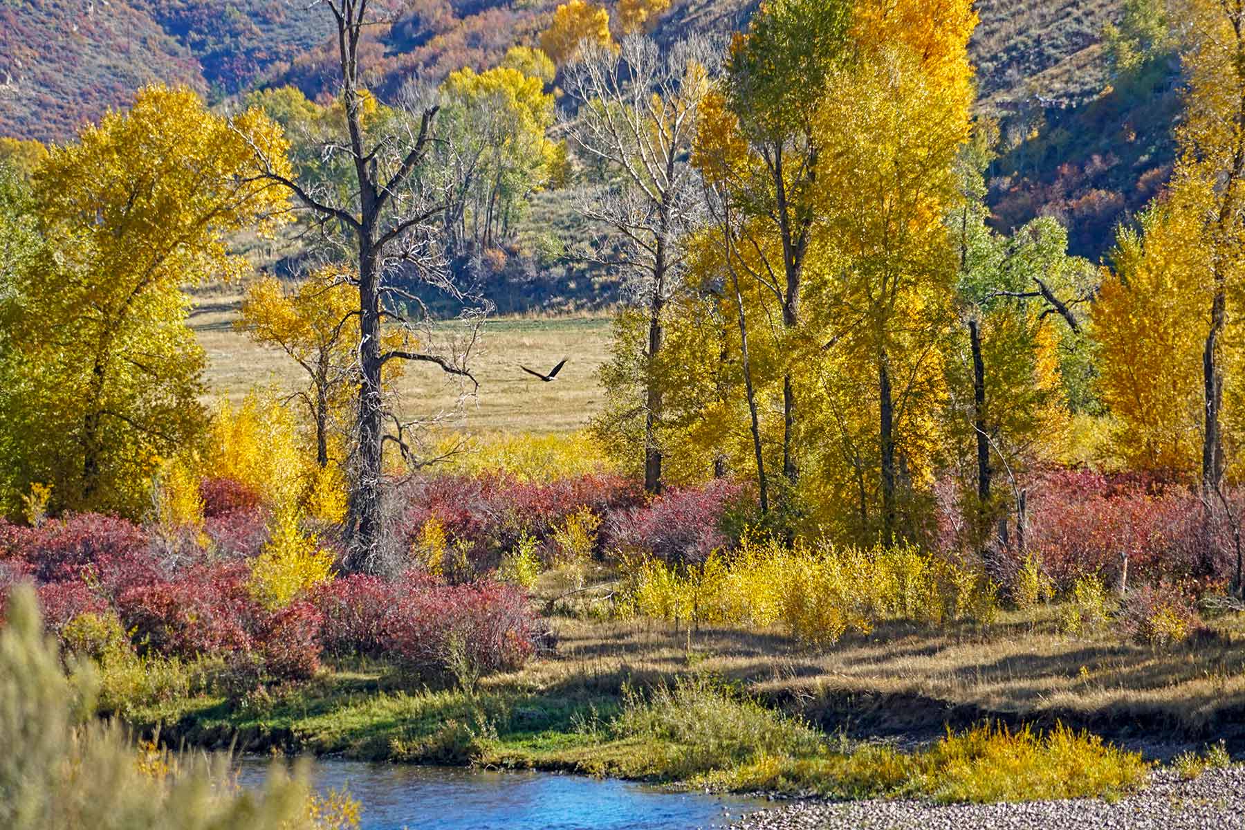 Ghost Ranch - Sold - Colorado - Hall and Hall