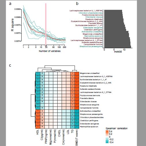 BGI - research workspace on protocols.io