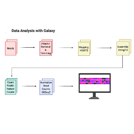 C.elegans RNA-Seq Analysis Workflow Using Galaxy