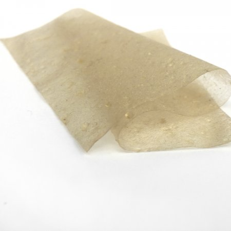 Agar bioplastic (simmered) Ag01