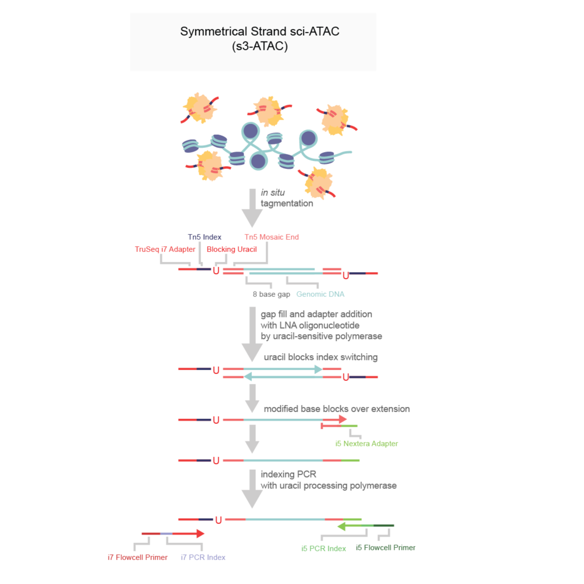 Combinatorial Indexing Protocols Research Workspace On