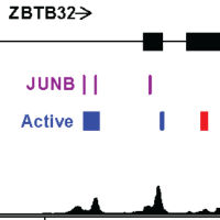 ATAC-STARR-seq