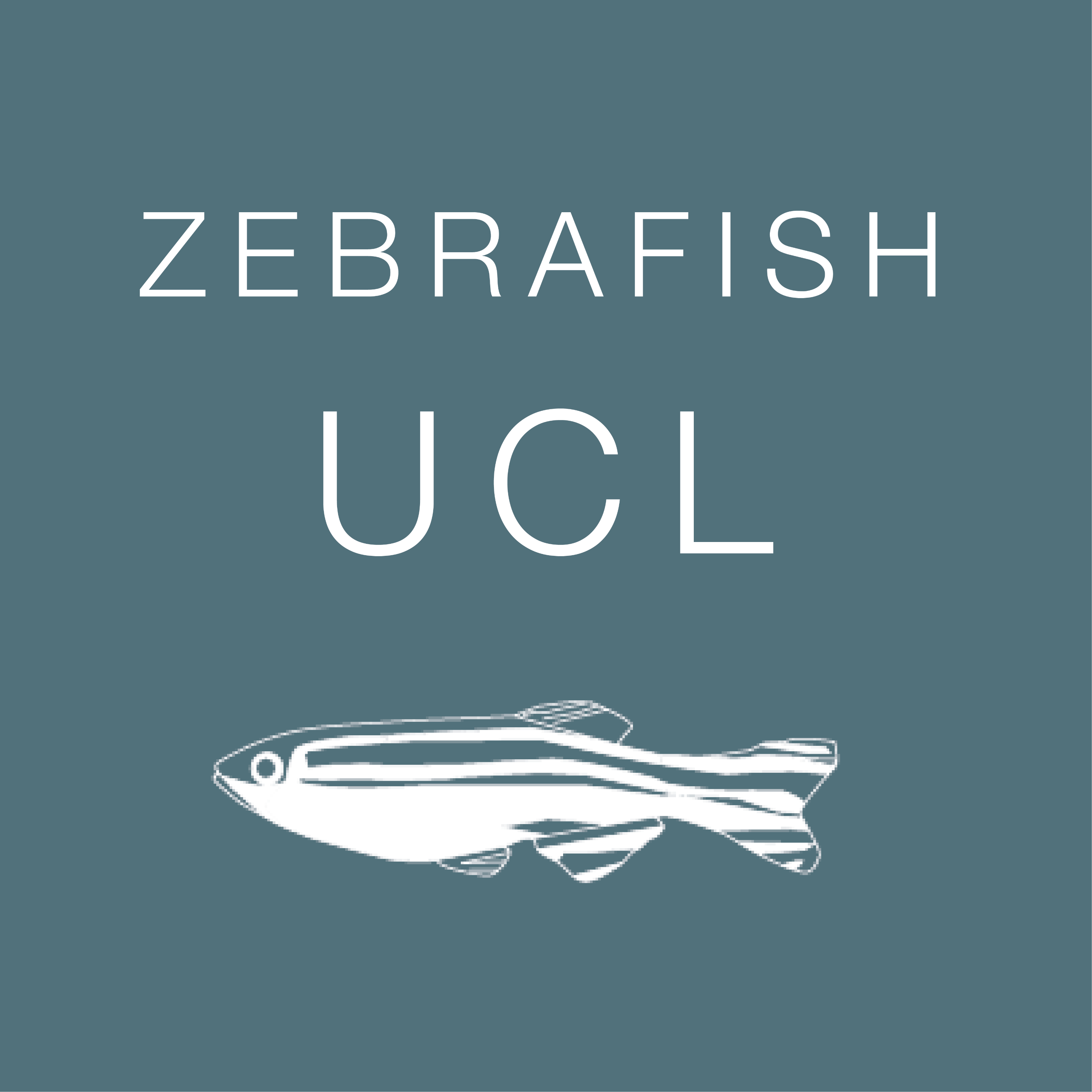 FishFloorUCL publications