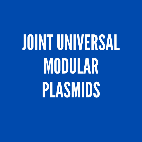 Two step assembly to introduce sequences in JUMP vectors' Upstream ...