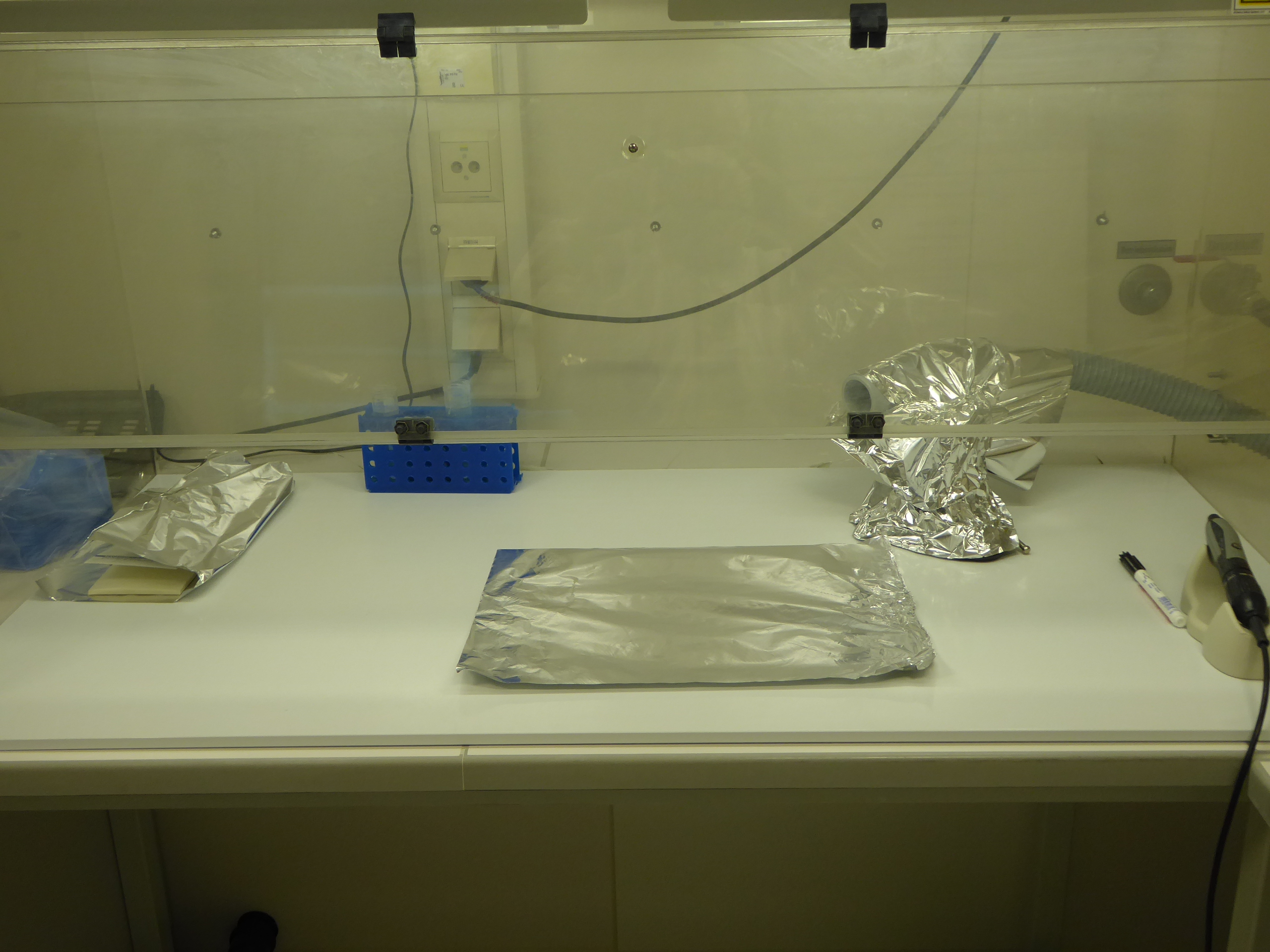 Minimally-invasive sampling of pars petrosa (os temporale) for ancient ...