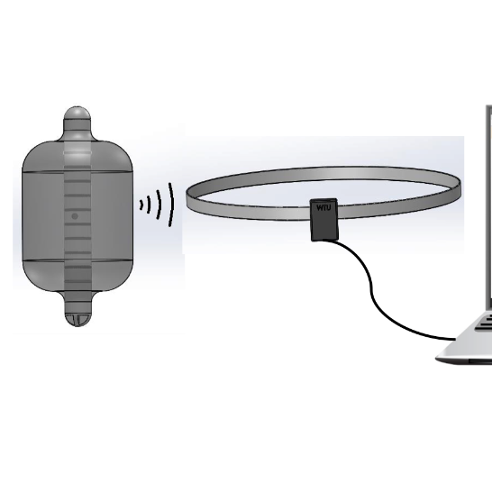 Safety Study of Wireless Fecobionics Device