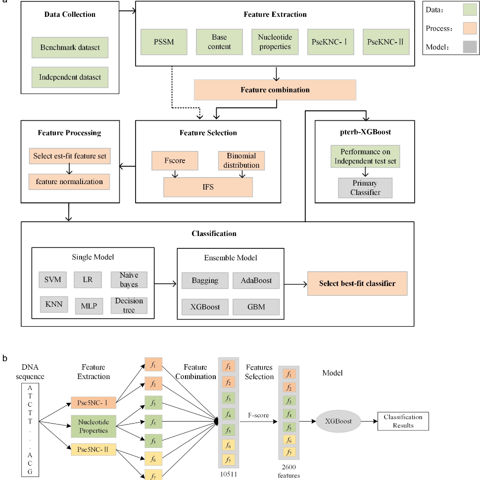 Prediction of terminational terminators in bacterial