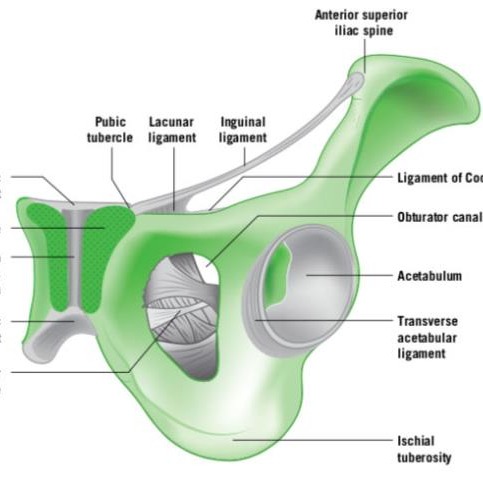 Adoption and evaluation of the Doha Agreement Classification system of ...