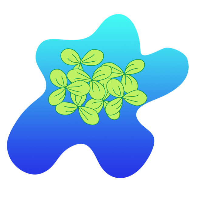 Duckweed - research workspace on protocols.io