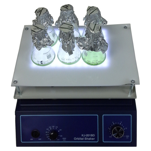 Illuminated Orbital Shaker for Microalgae Culture
