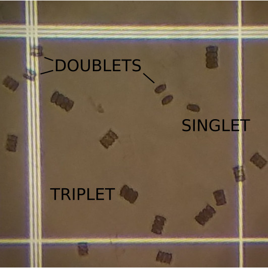 Counting Microalgae Culture Density