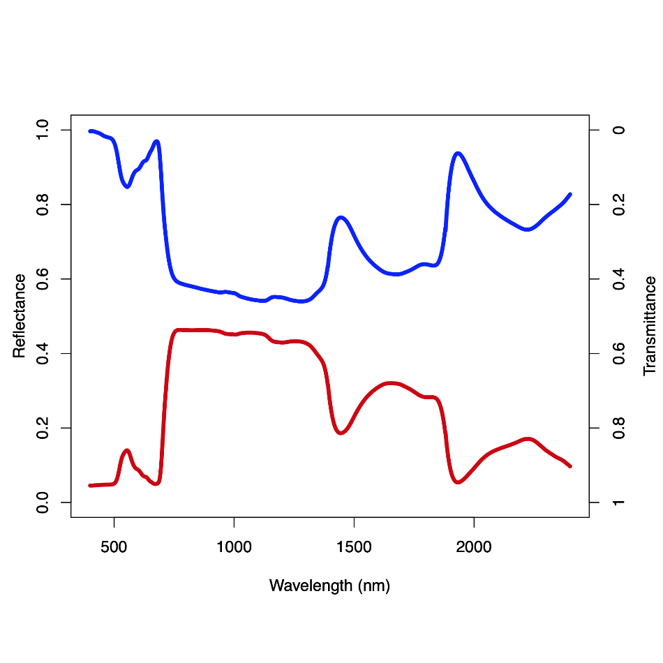 Processing of leaf spectra