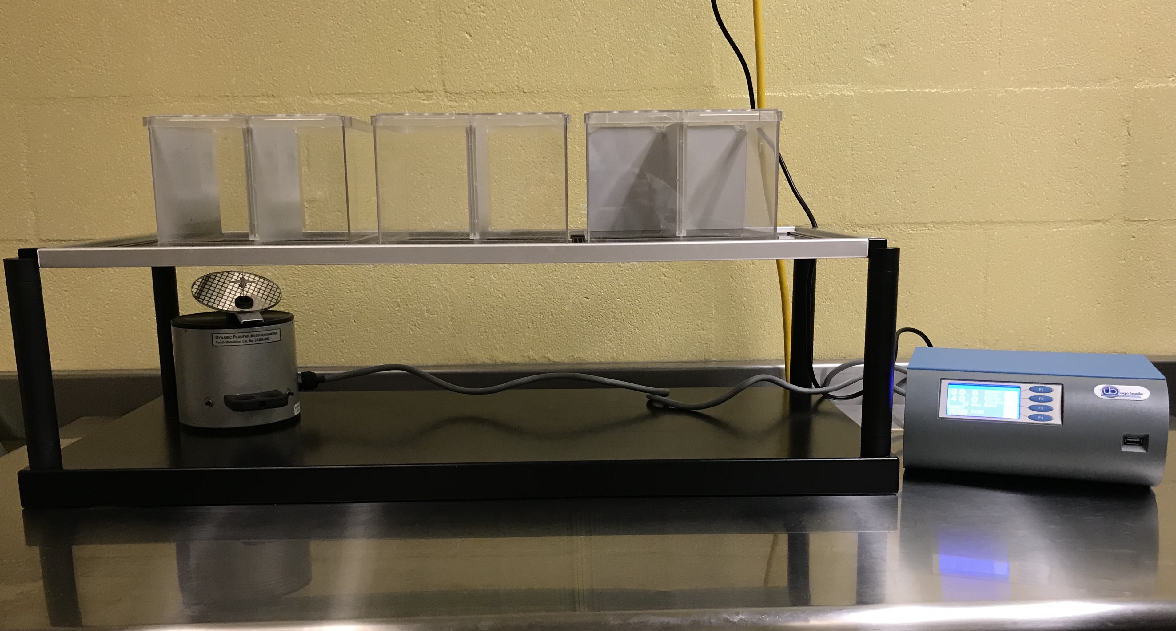 Protocol for Electronic von Frey