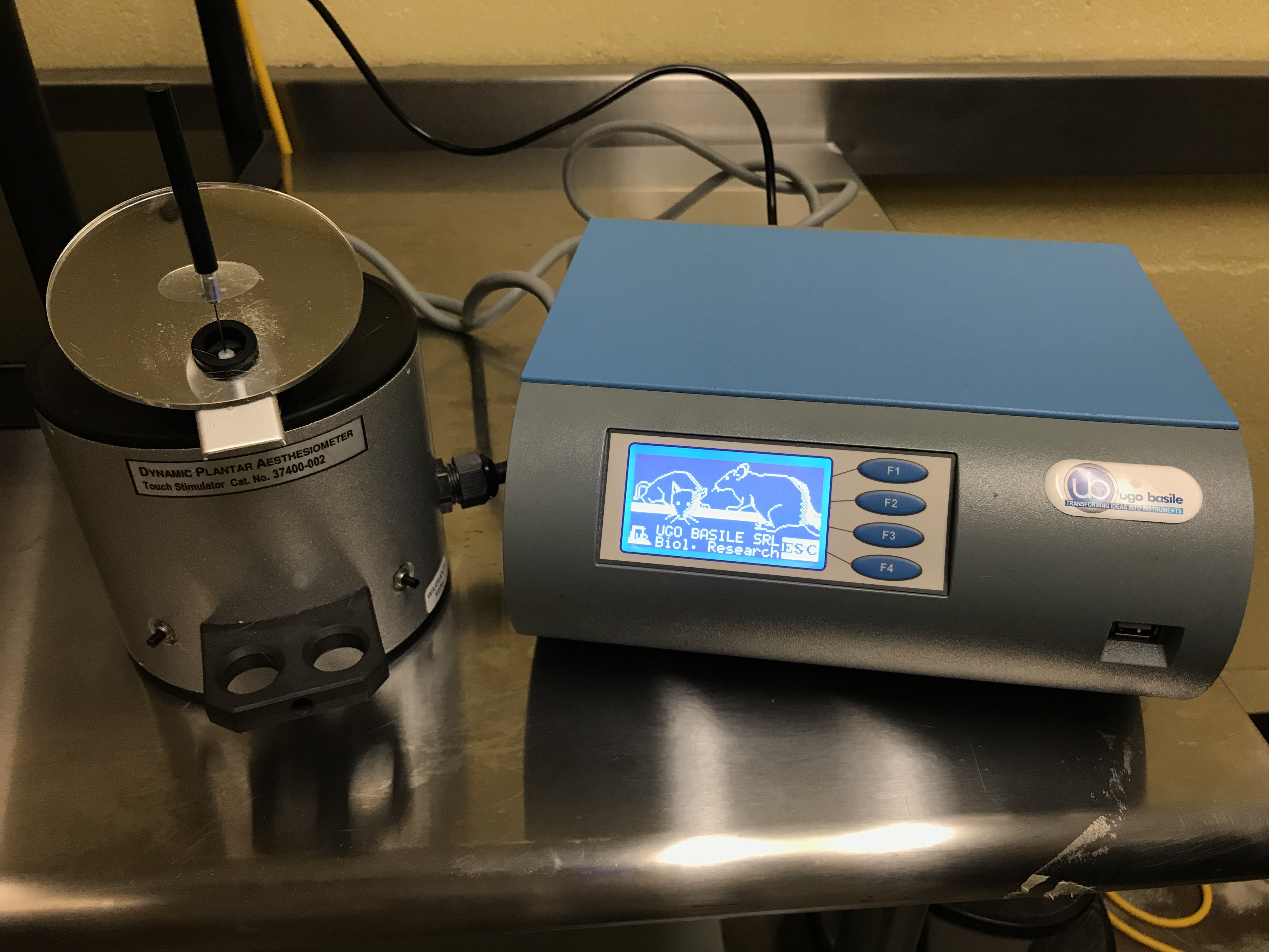 Protocol for Electronic von Frey