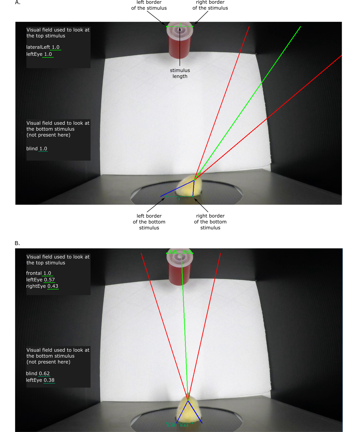 A step by step guide to using Visual Field Analysis