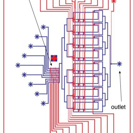 Steady-state cell-free gene expression with microfluidic chemostats