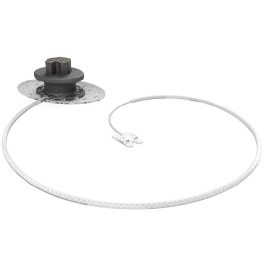 Implantation of a pelvic nerve array in rats_original from SP