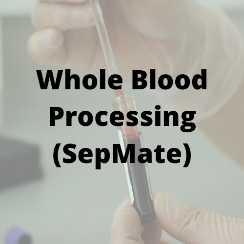 Whole Blood Processing (SepMate)