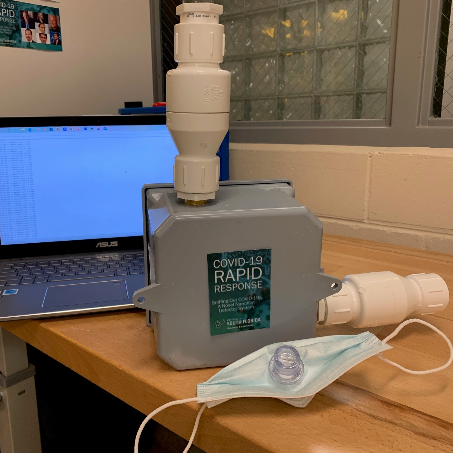 Breath Analysis System for Detecting Breath Pattern Signature of COVID-19