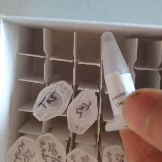 Tn5 Library Prep for Deep Sequencing Loci of CRISPR/Cas9 Edited Cells ...