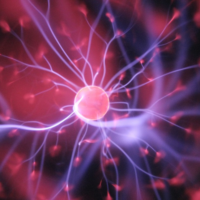 6-Hydroxydopamine (6-OHDA) Treatment and Neurite Tracing in miDA Neurons