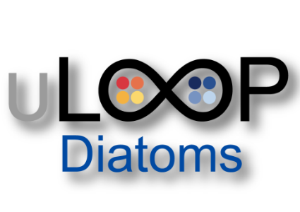 Bernardo Pollak's protocols on protocols.io