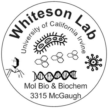 Low Volume Methodology for Nextera DNA Flex Library Prep Kit (96 Samples)