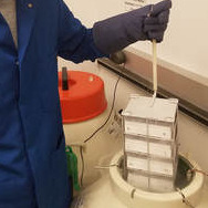 Freezing/Cell Banking