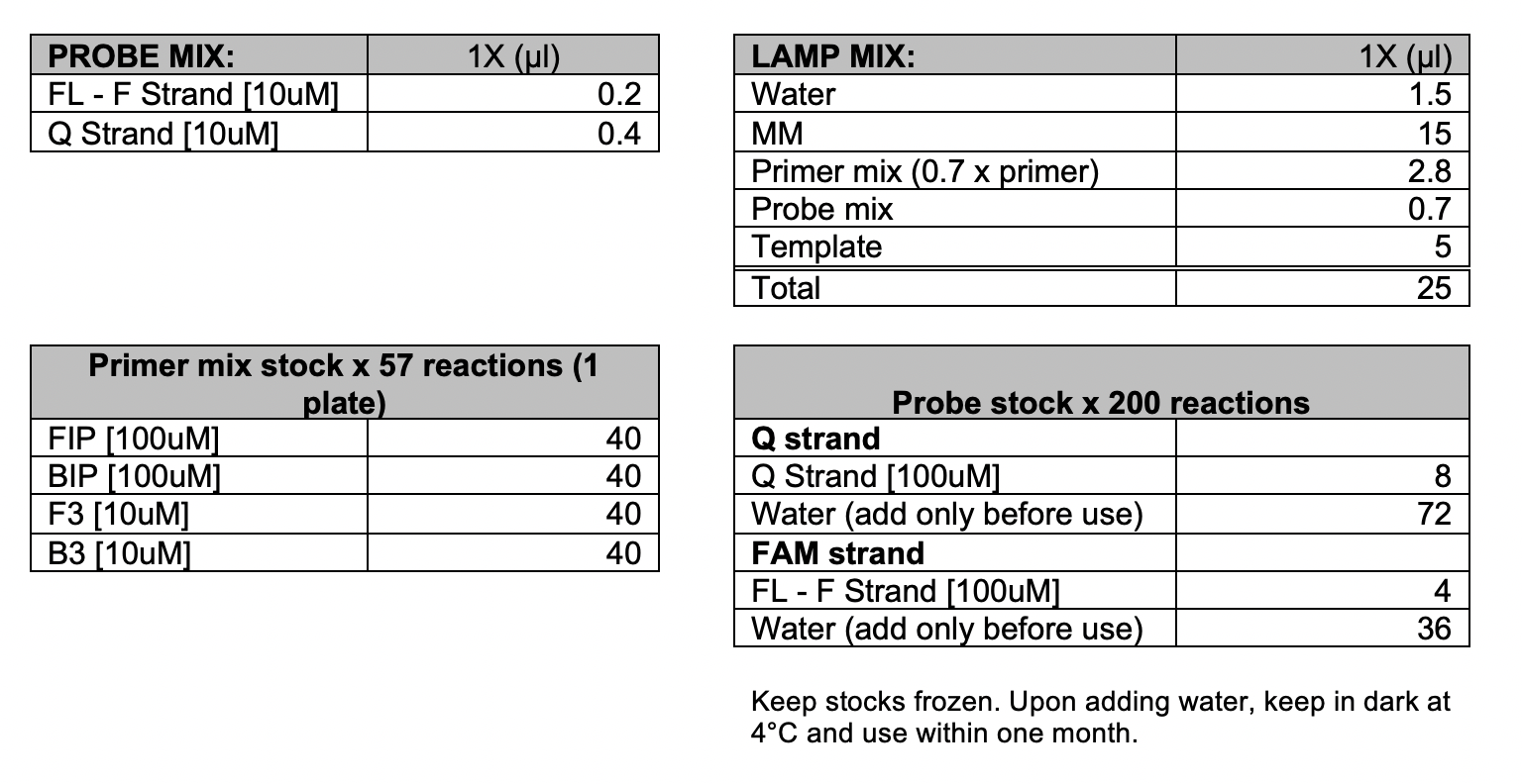 LAMP Master Mix + Reaction Protocol