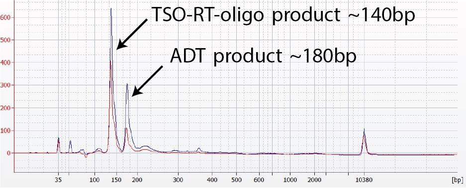 TotalSeq™-A Antibodies Protocol with 10x Single Cell 3' Reagent Kit v2