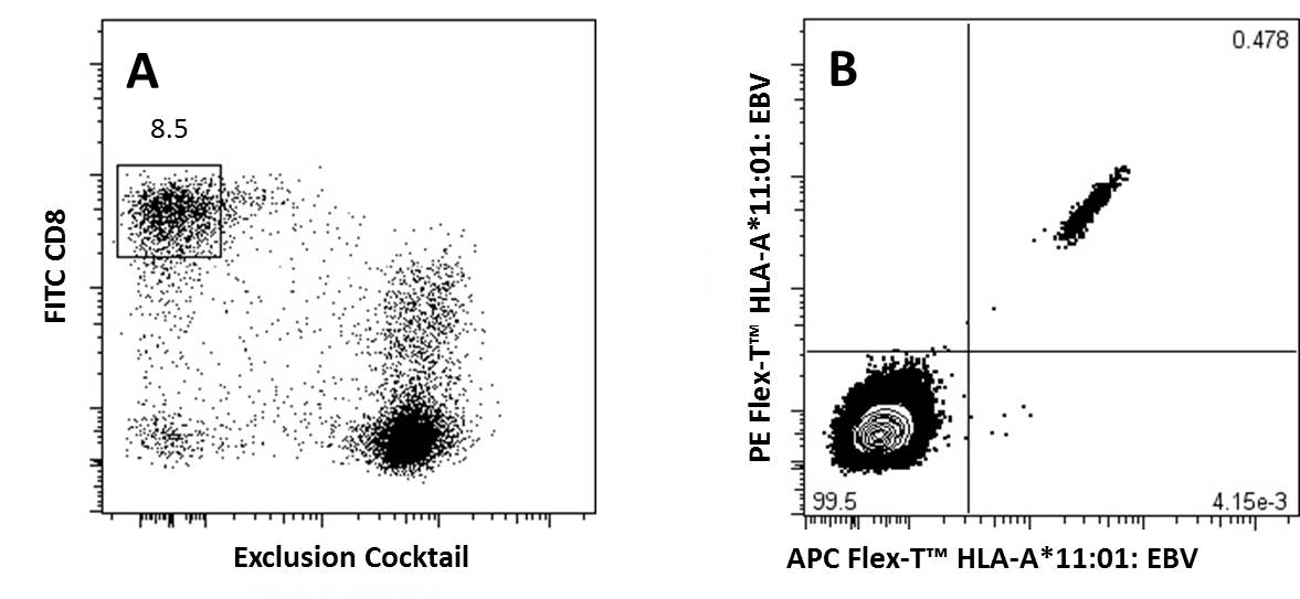 Flex T™ Tetramer And Cell Staining Protocol