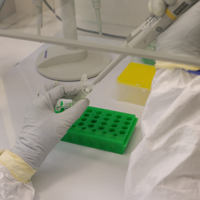 Ancient DNA Extraction from Skeletal Material