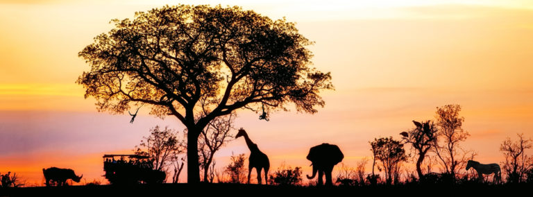The Best Destinations to Experience a SafariParkSleepFly.com Travel Blog