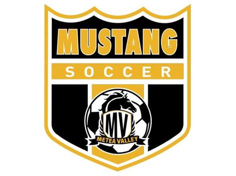 Metea Valley | Boys SOCCER | Activities