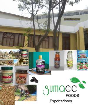 SUMACC FOODS