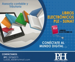 libro electrónico sunat