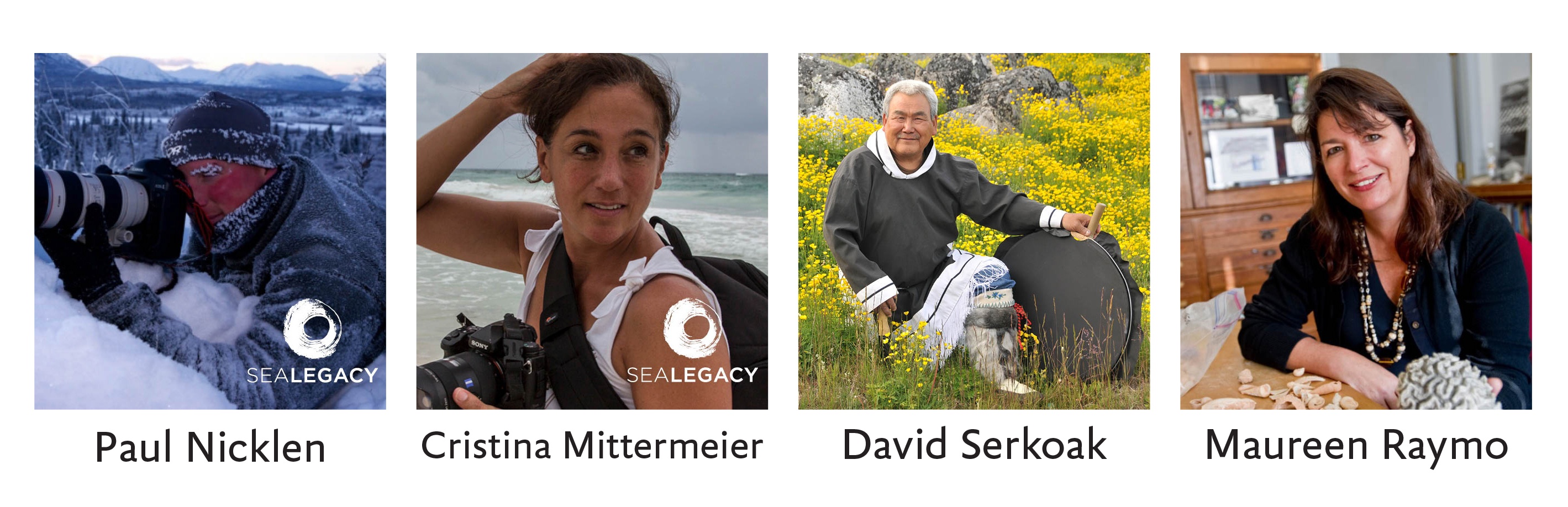 SeaLegacy Photographers Paul Nicklen & Cristina Mittermeier Prepare for ...