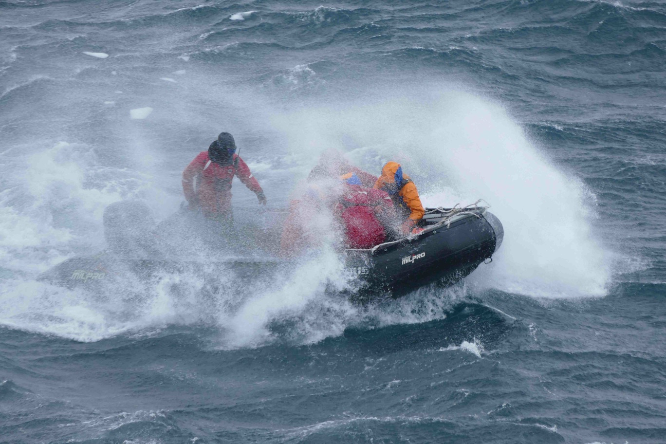 An Epic Day on Ocean Endeavour in Antarctica | Quark Expeditions