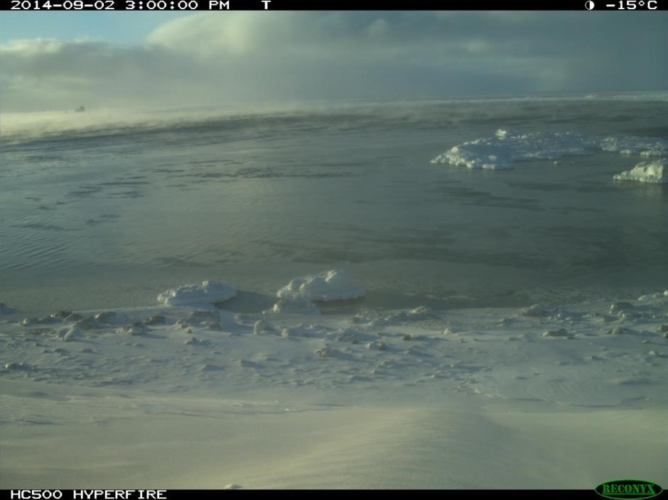 Penguins and ice – the South Sandwich Islands do not disappoint | Quark ...