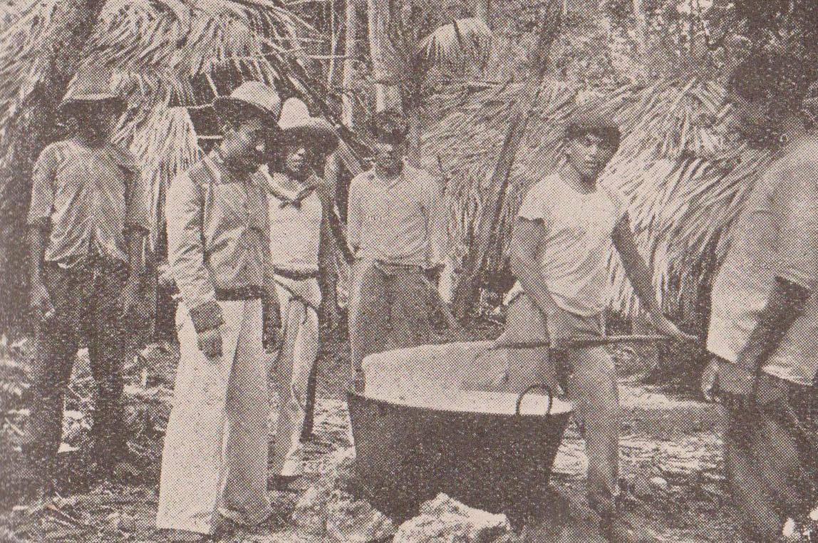 En la Zona Maya de Quintana Roo cumple 100 años de actividad chiclera