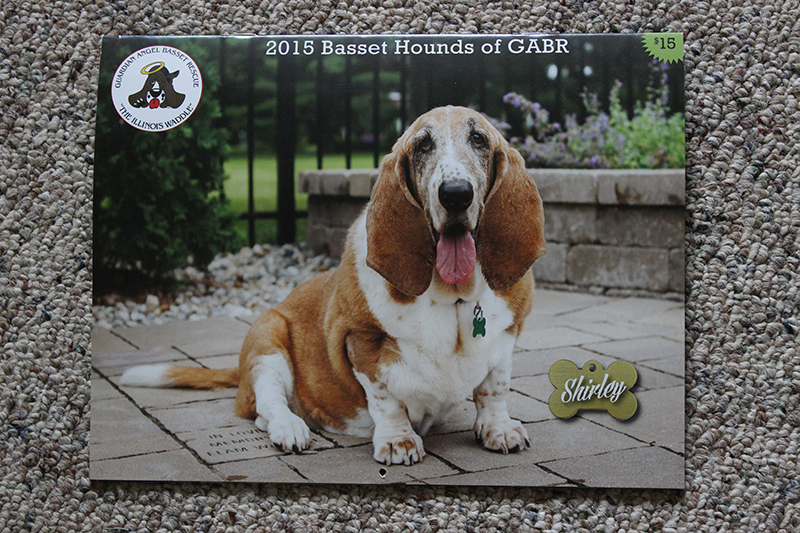 2016 GABR Calendar Page