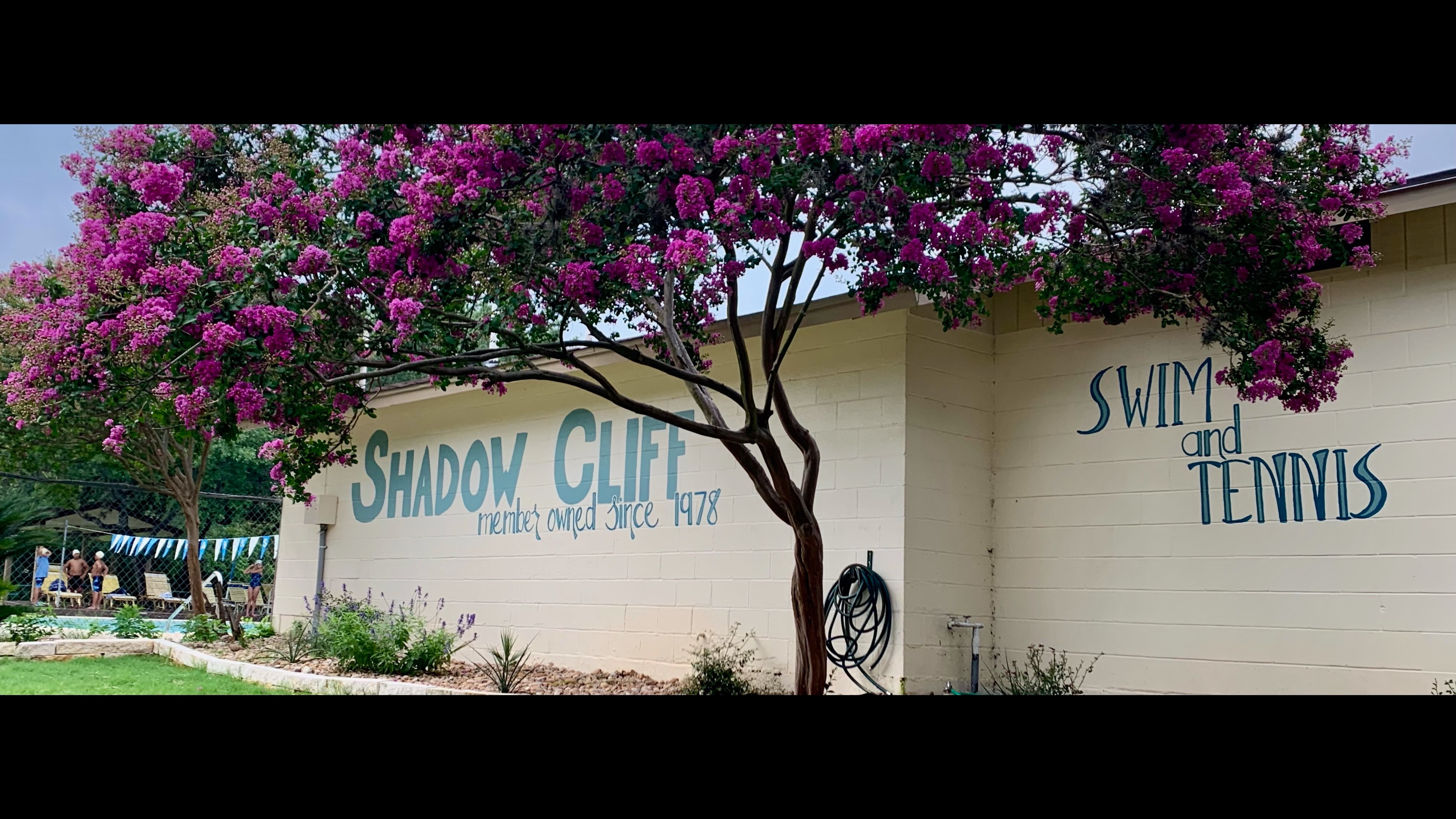 Shadow Cliff Swim-a-Thon | DoJiggy