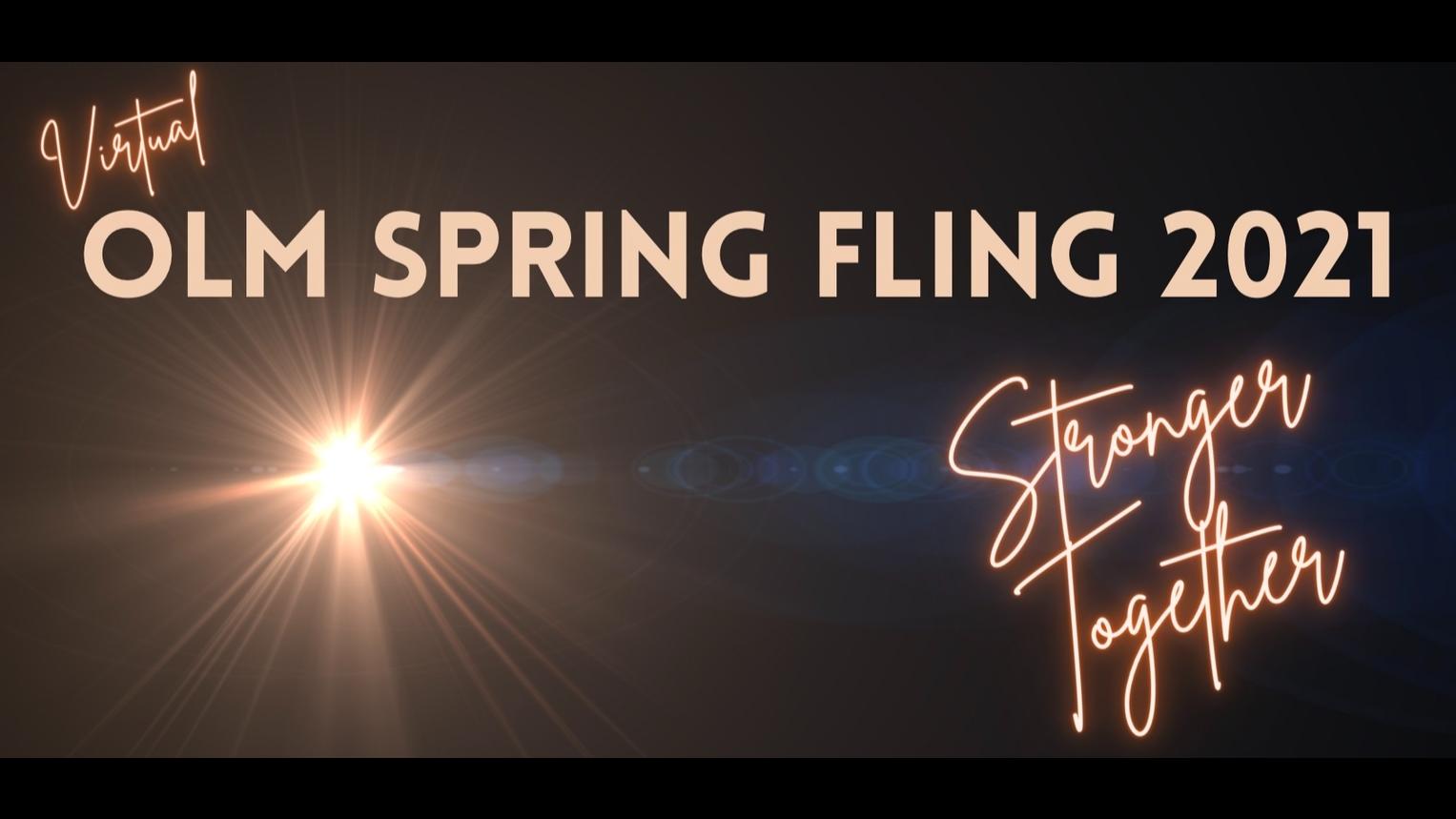 OLM Spring Fling's Stars for Students Fundraiser | DoJiggy