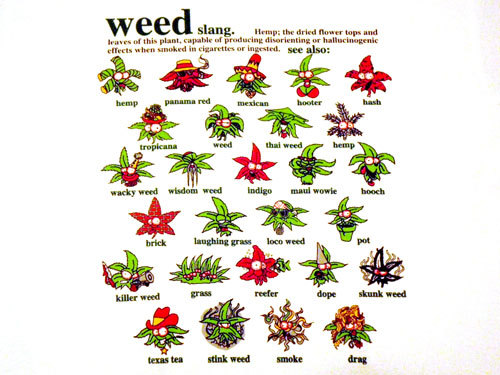 Weed Nicknames
