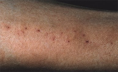 Ice-T – Colors Lyrics | Genius Lyrics