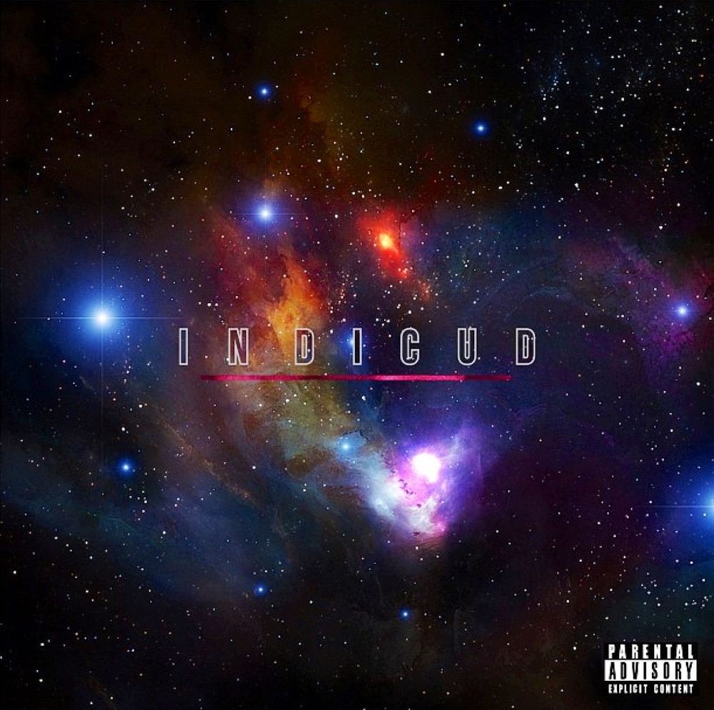 Logotipo Indicud