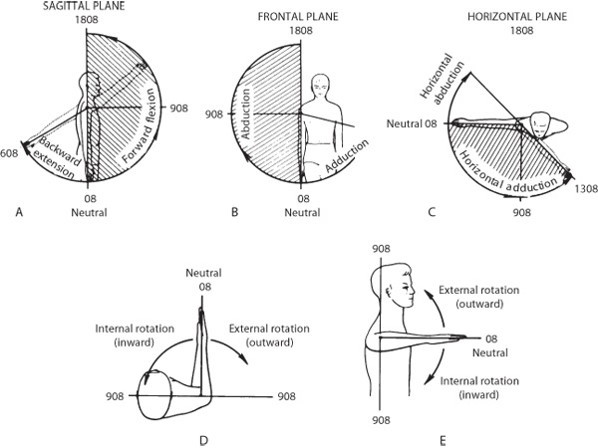 Structural Kinesiology – Glenohumeral Joint (Outline) | Genius