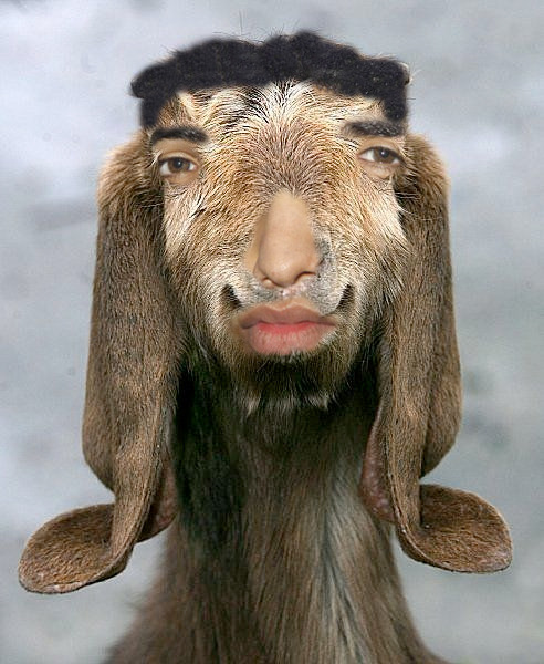 Drake Lovers ! | Genius